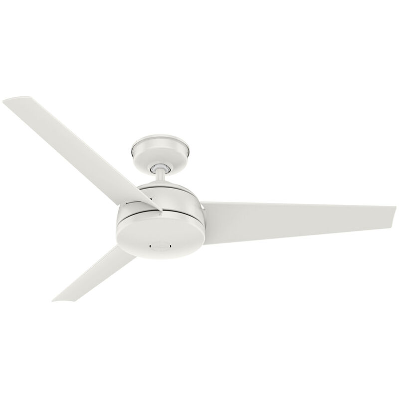 Hunter Trimaran 52 in. Indoor/Outdoor Ceiling Fan with Wall Control ...