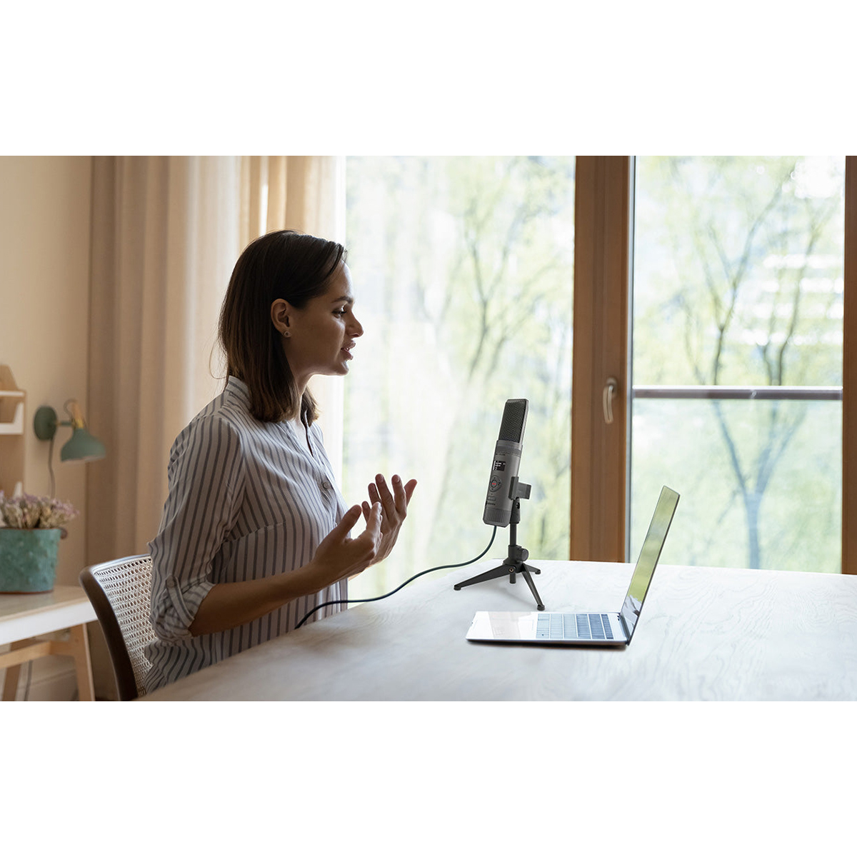Singing Machine All-In-One Professional Microphone - Black | P.C ...