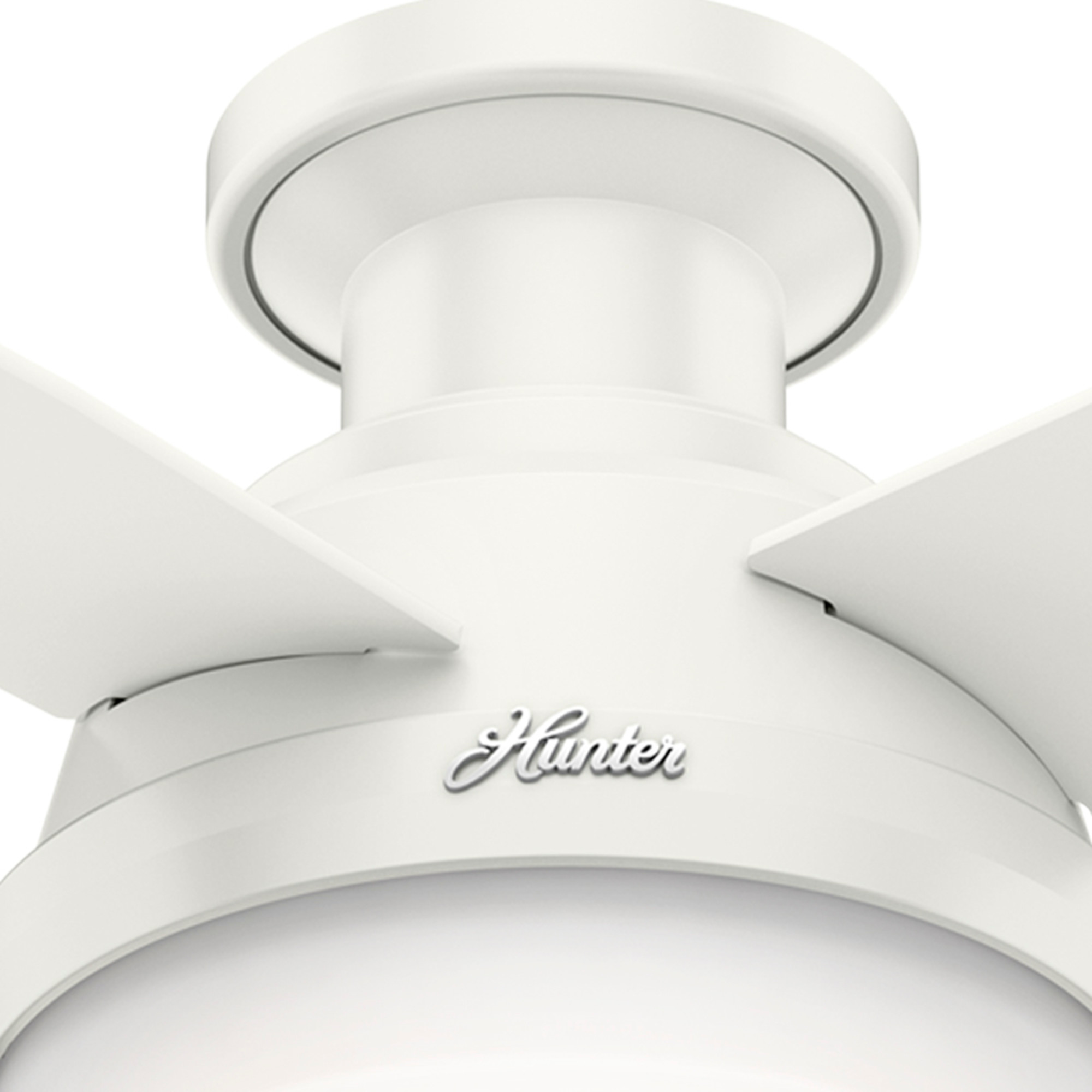 Hunter Dempsey 44 in. Low Profile Ceiling Fan with LED Light Kit and ...