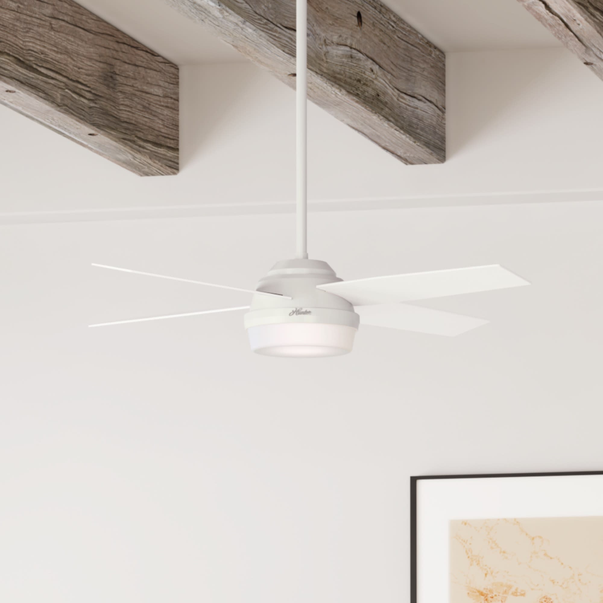 Hunter Casablanca 52" Dempsey Ceiling Fan with LED Light Kit and ...